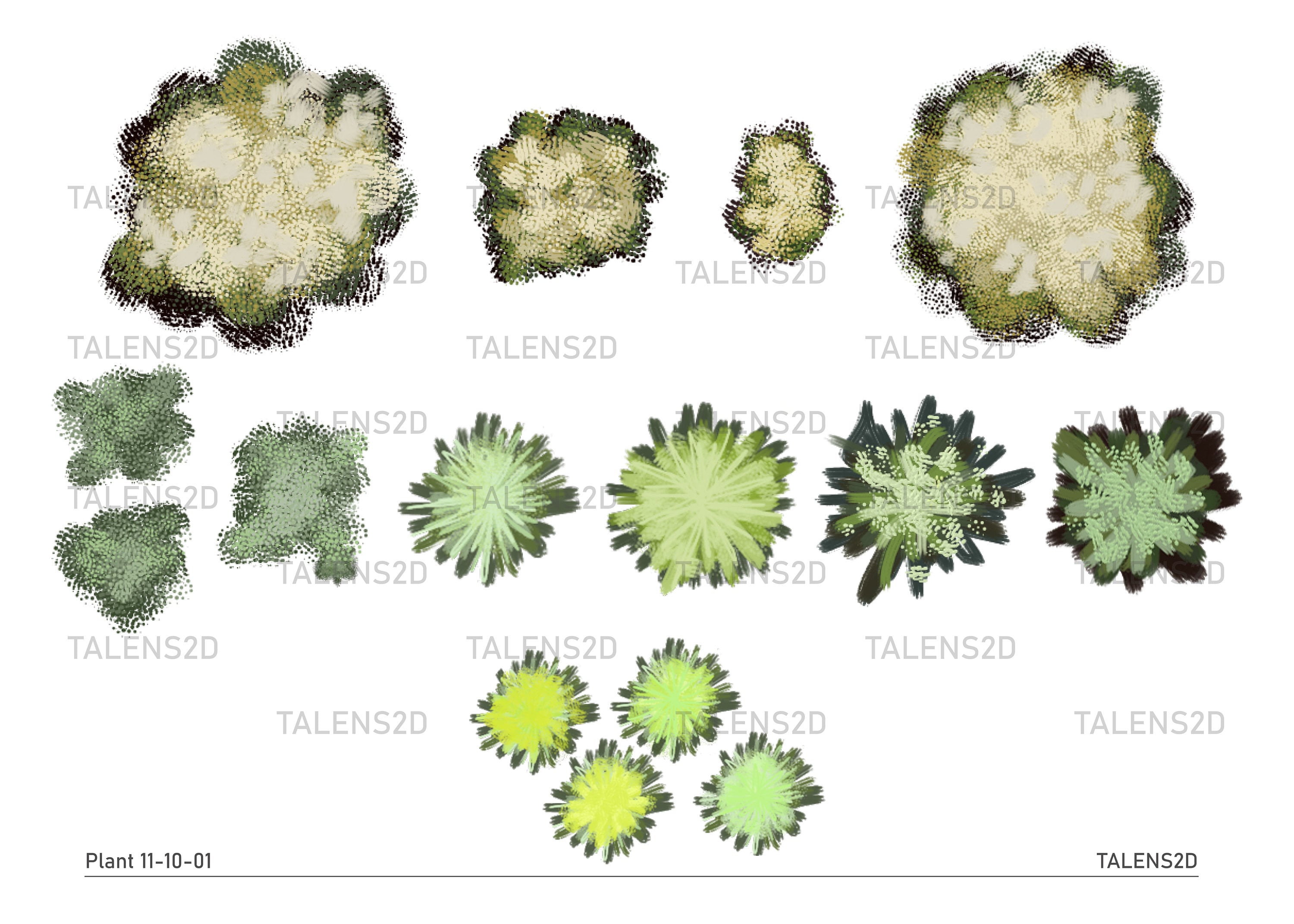 Plant Top View, 2D Landscape Clipart in PNG - Etsy