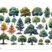 Watercolor Trees Clipart | Painted Tree Clipart | PNG Graphics ...