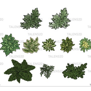 Plant Top View, 2D Landscape Clipart in PNG - Etsy