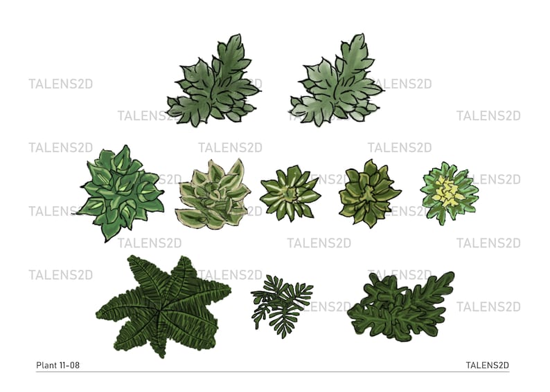 Plant Top View, 2D Landscape Clipart in PNG - Etsy