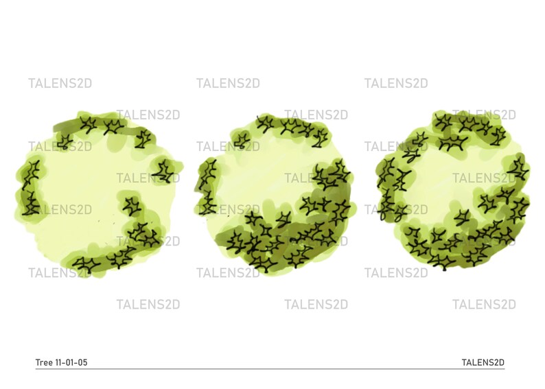 Tree Top View, 2D Landscape Clipart in PNG - Etsy