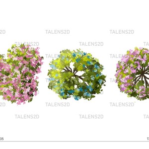 Tree Top View, 2D Landscape Clipart in PNG - Etsy