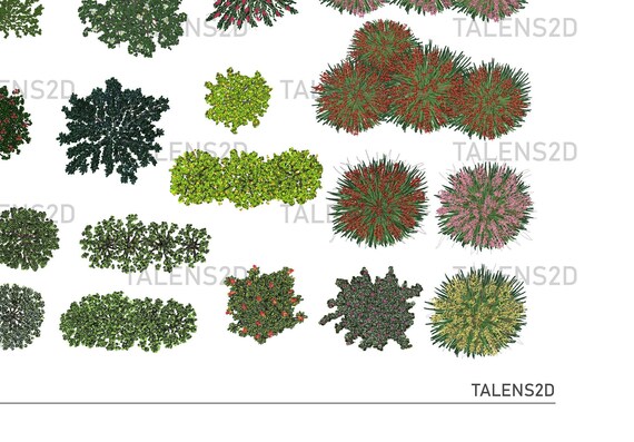 Landscape Top View Texture