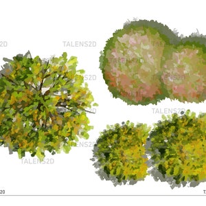 Tree Top View, 2D Landscape Clipart in PNG - Etsy