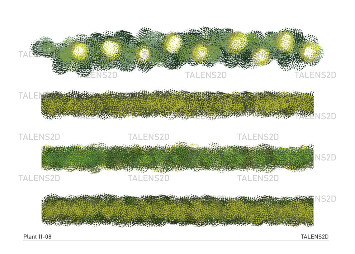 Plant Top View, 2D Landscape Clipart in PNG - Etsy