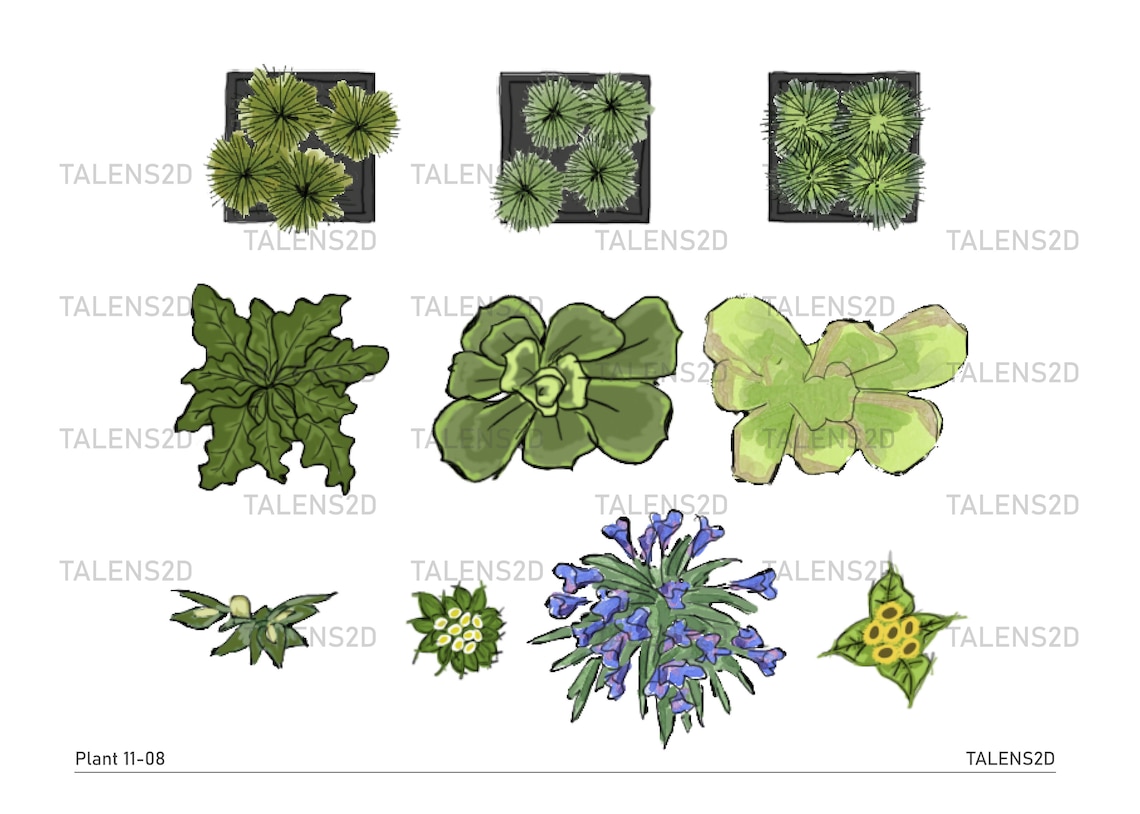 Plant Top View, 2D Landscape Clipart in PNG - Etsy