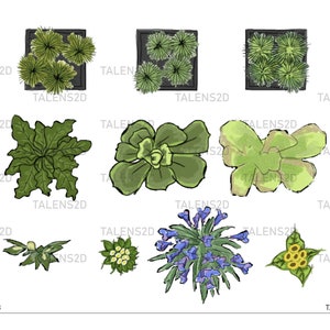 Plant Top View, 2D Landscape Clipart in PNG - Etsy