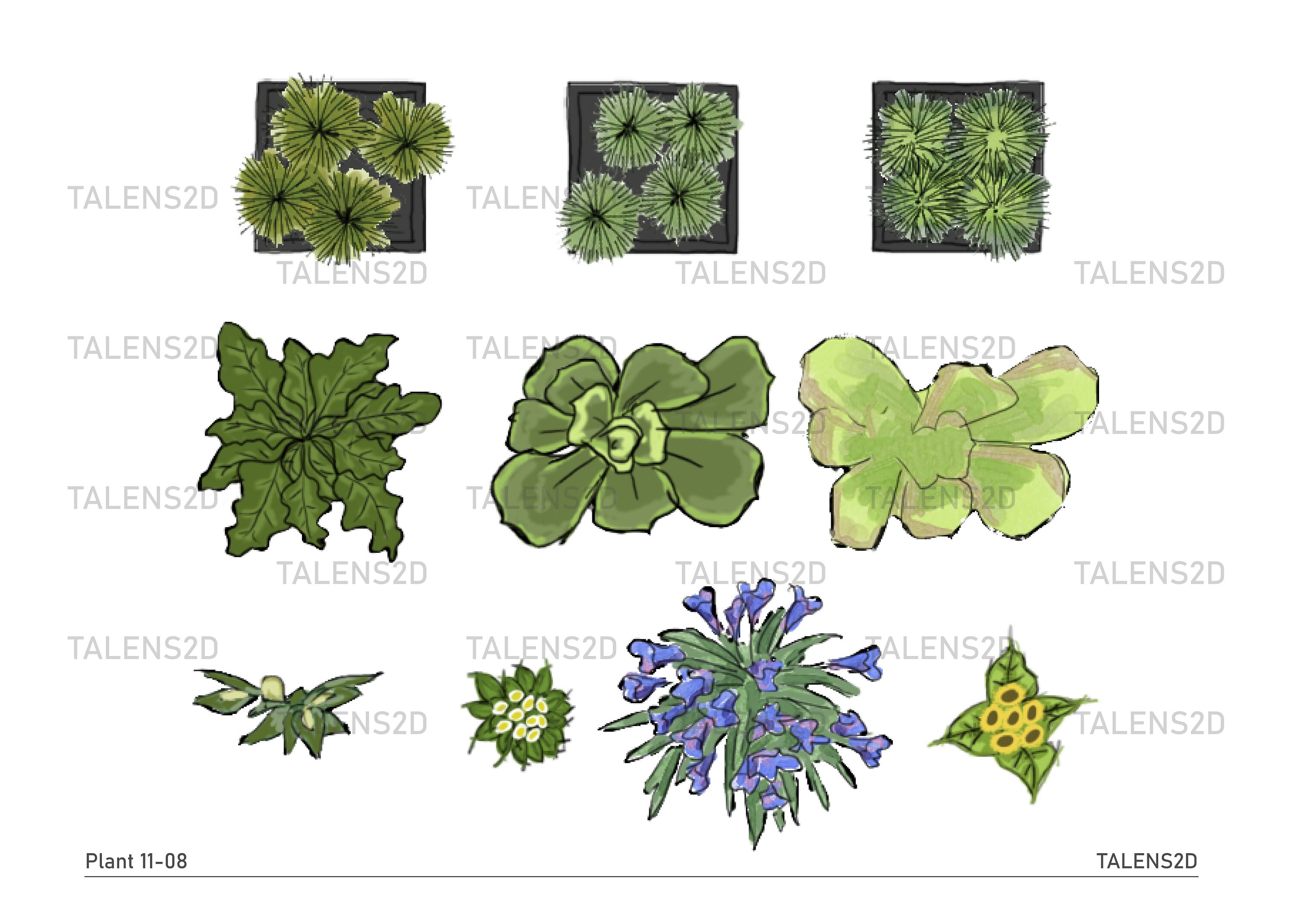Plant Top View, 2D Landscape Clipart in PNG - Etsy