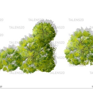 Tree Top View, 2D Landscape Clipart in PNG - Etsy