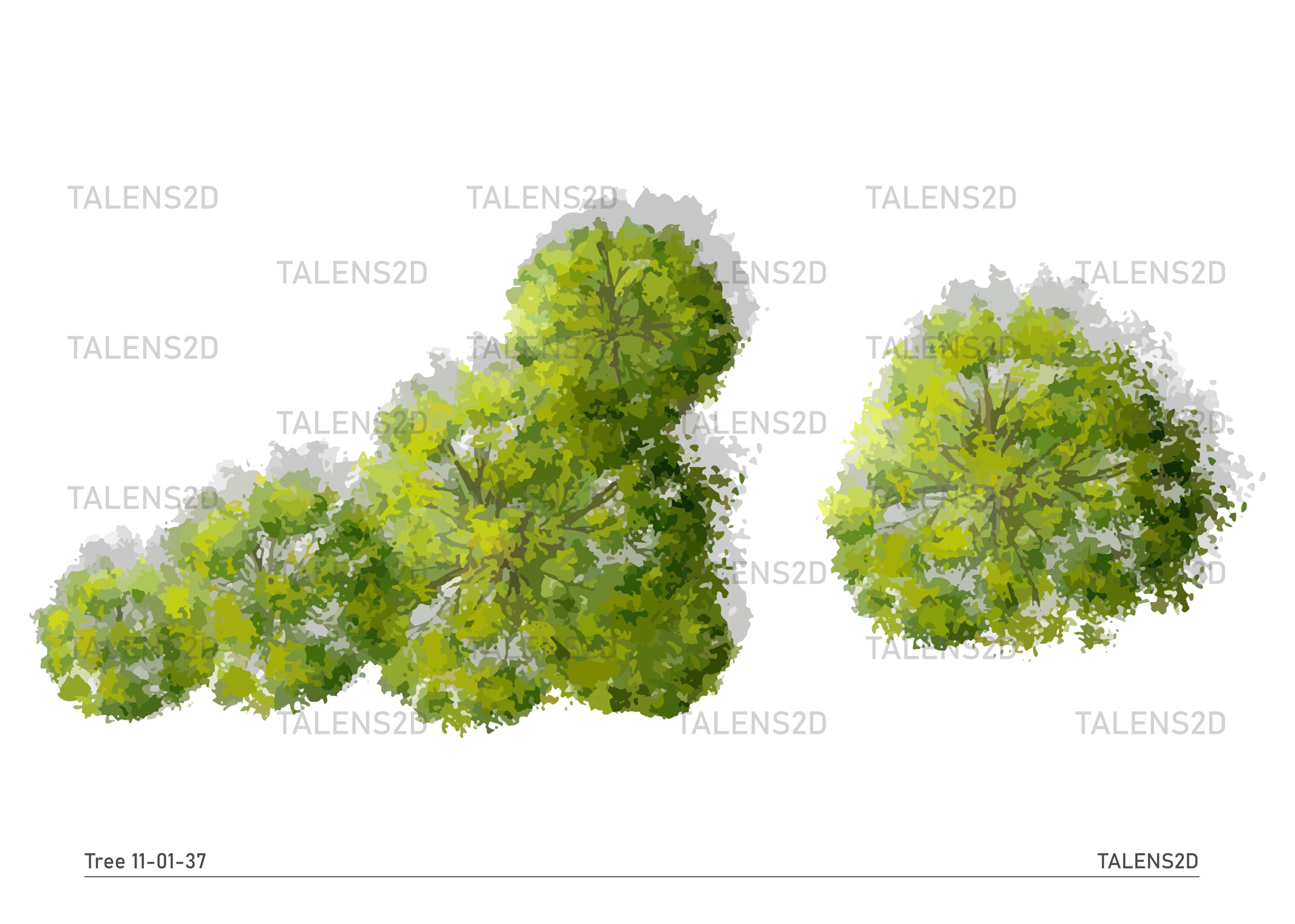 Tree Top View, 2D Landscape Clipart in PNG - Etsy