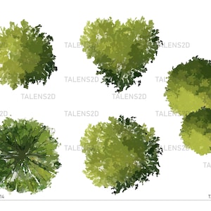 Tree Top View, 2D Landscape Clipart in PNG - Etsy