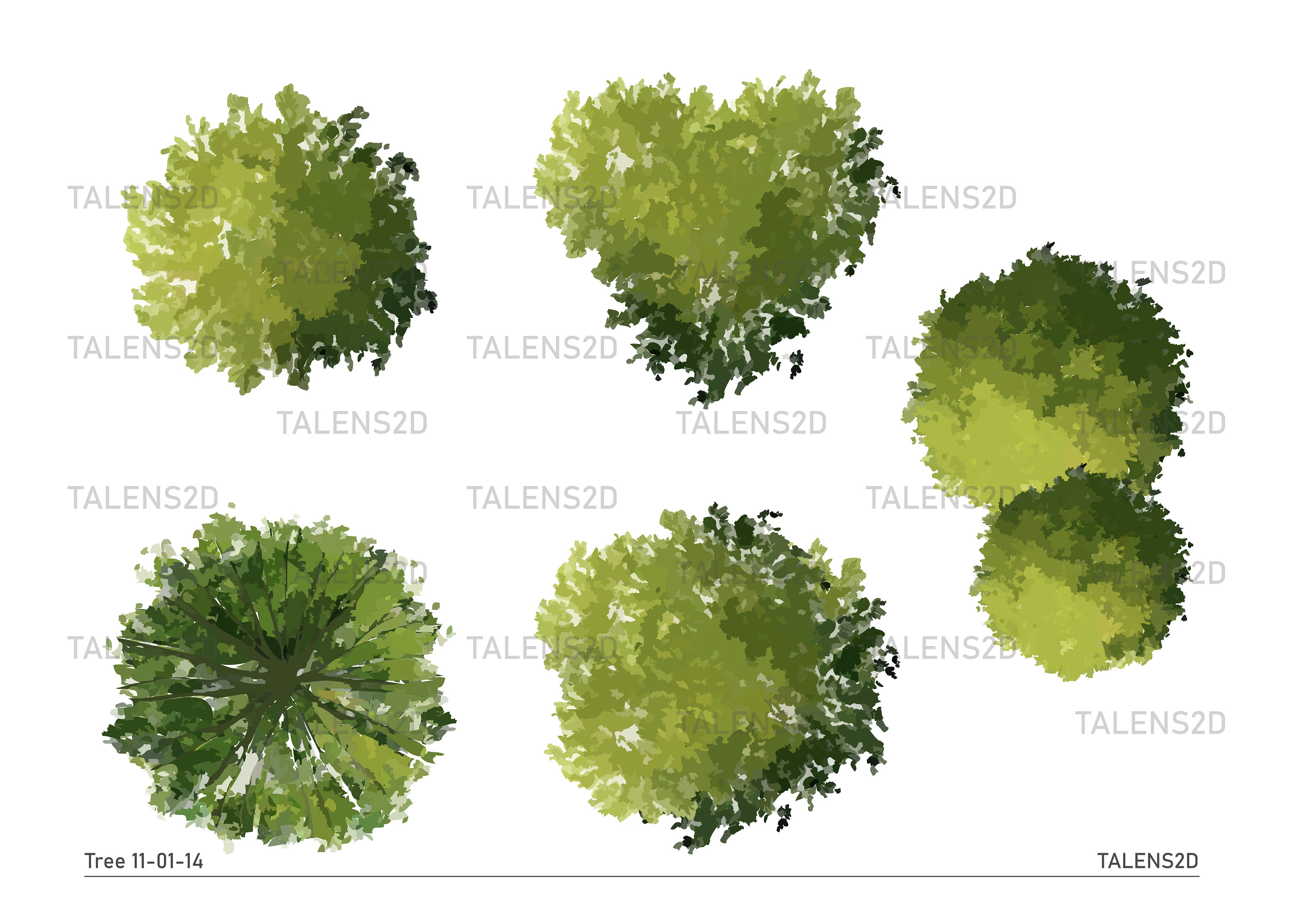 Tree Top View, 2D Landscape Clipart in PNG - Etsy