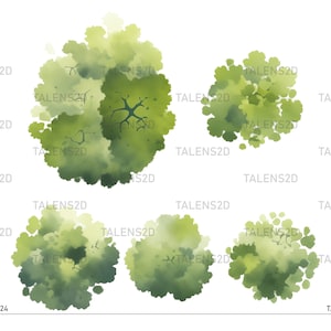 Tree Top View, 2D Landscape Clipart in PNG - Etsy