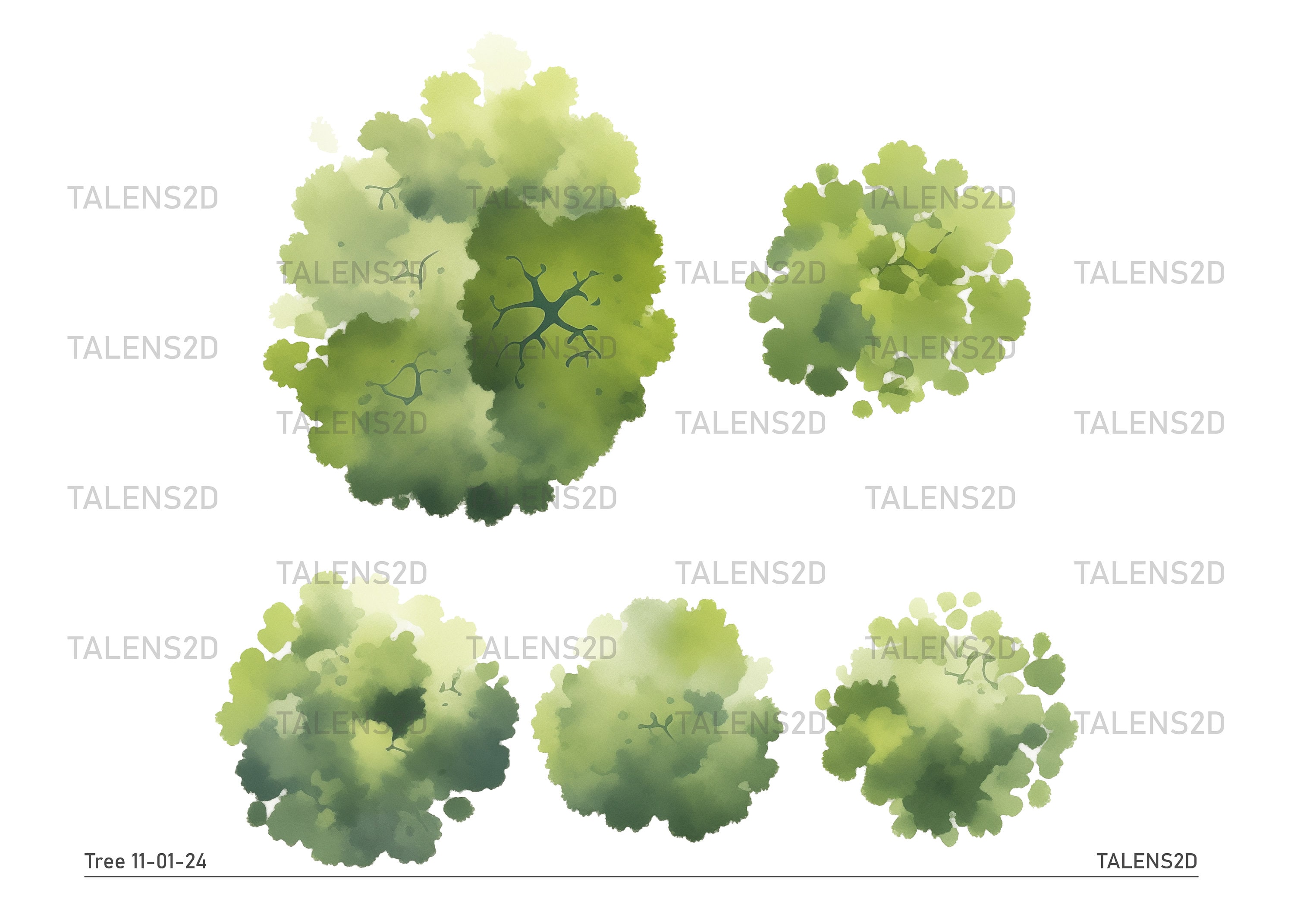 Tree Top View, 2D Landscape Clipart in PNG - Etsy
