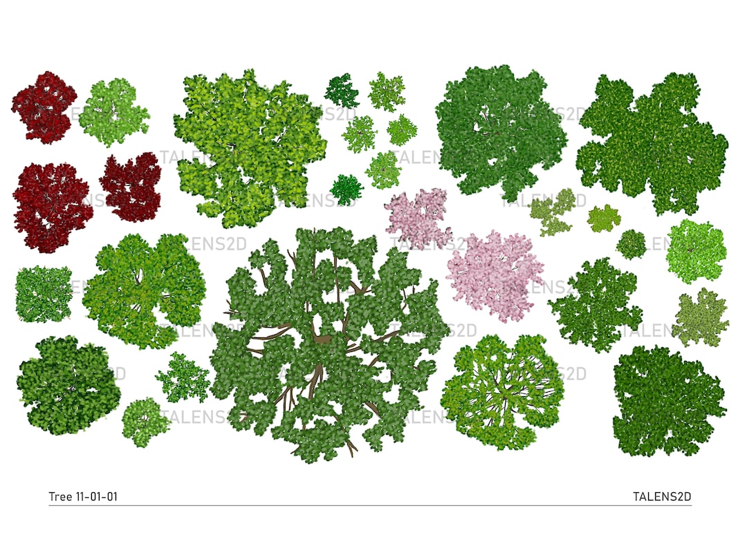 Tree Top View, 2D Landscape Clipart in PNG - Etsy