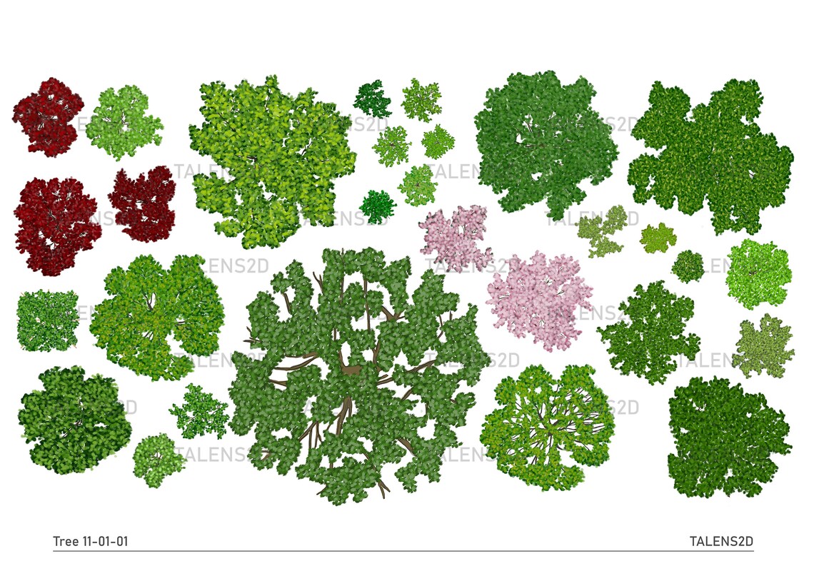 Tree Top View, 2D Landscape Clipart in PNG - Etsy