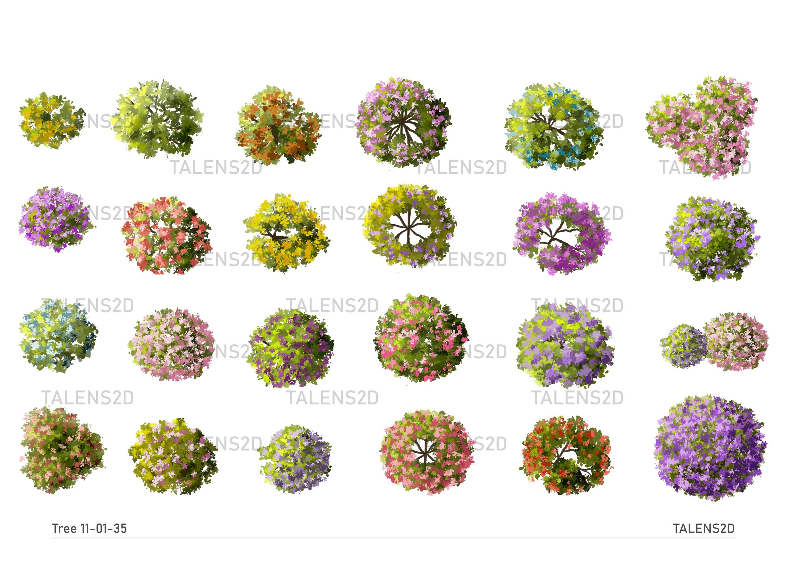 Tree Top View, 2D Landscape Clipart in PNG - Etsy