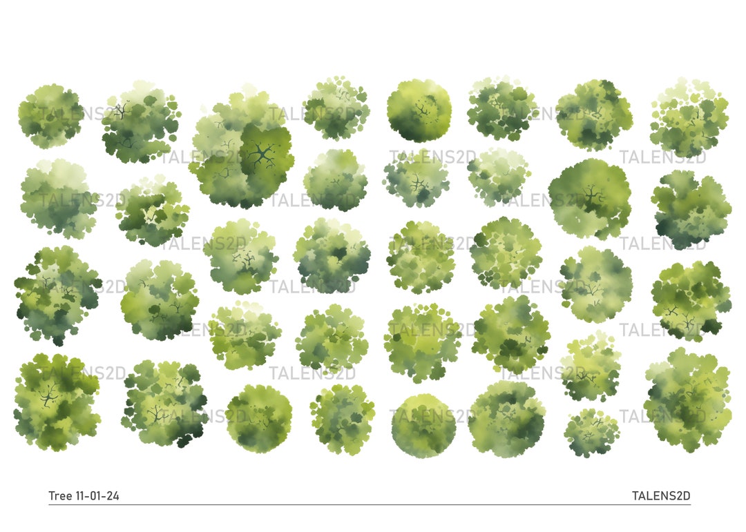 Tree Top View, 2D Landscape Clipart in PNG - Etsy
