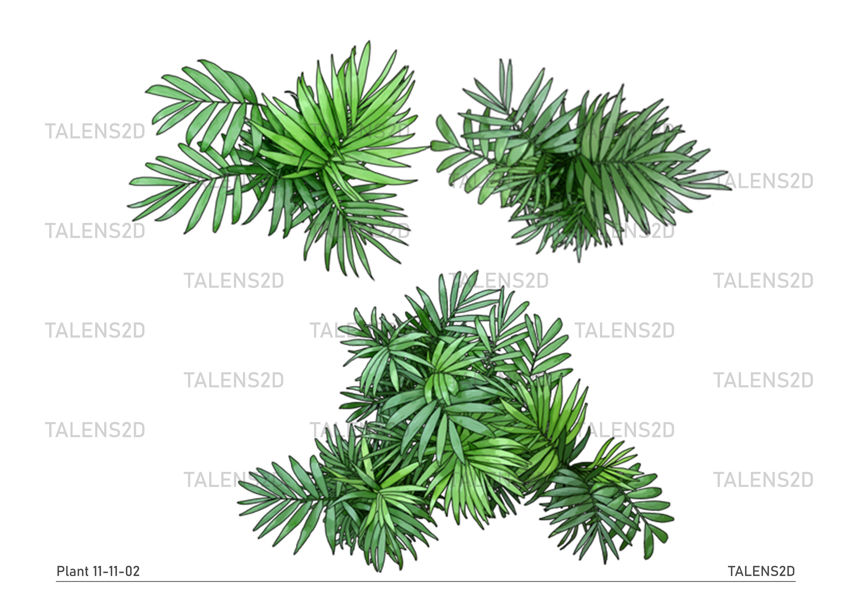 Landscape Plant Top View PNG: Garden Design Graphics (digital Download ...