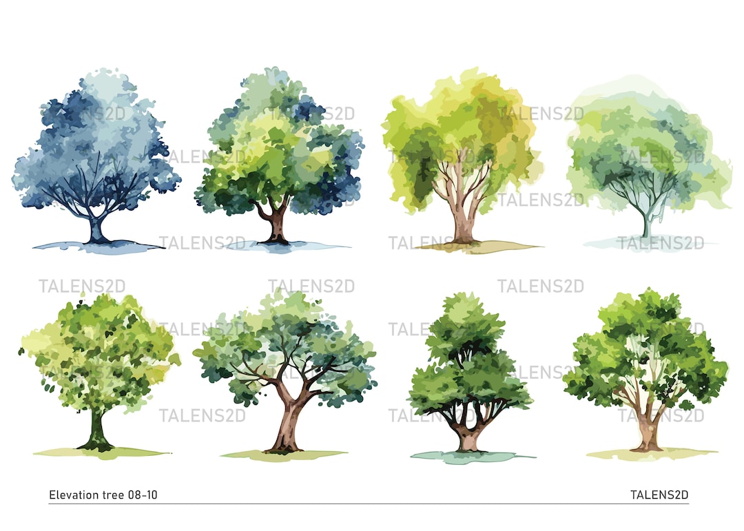 Watercolor Trees Clipart | Painted Tree Clipart | PNG Graphics ...
