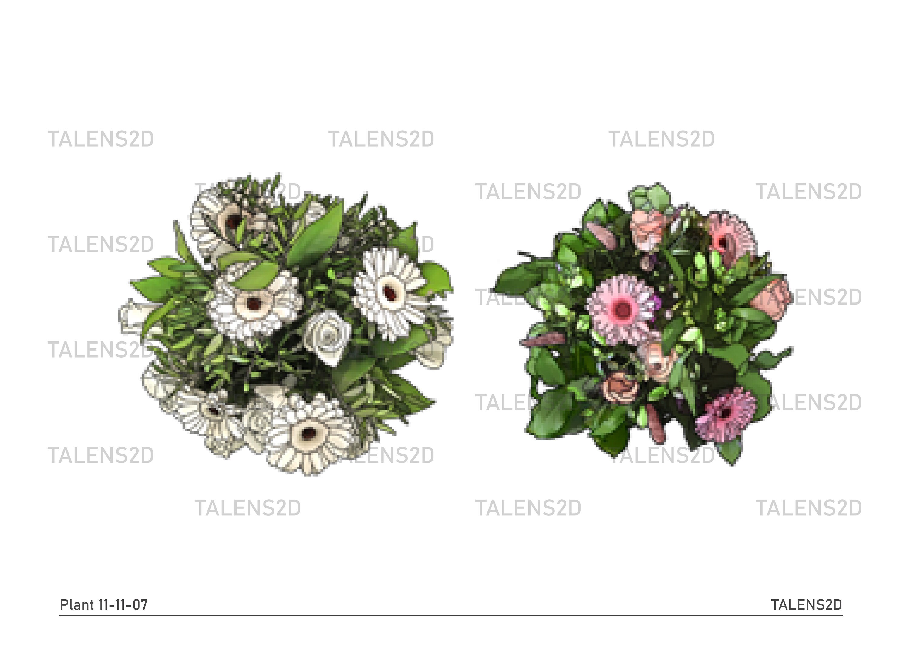 Plant Top View, Landscape Plants, Hand Painted Plant Top Symbols for ...