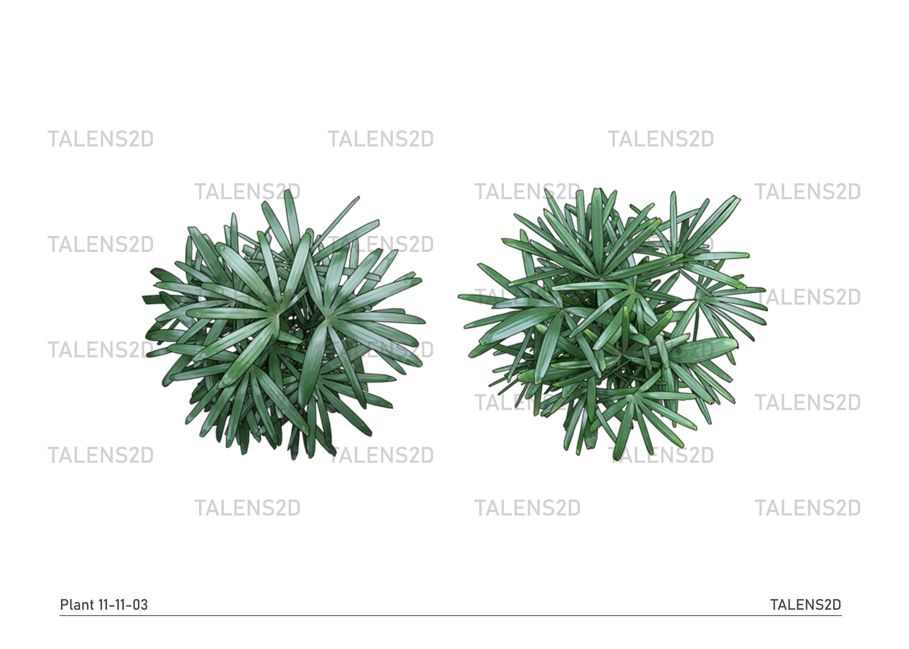 Plant Top View, Landscape Plants, Hand Painted Plant Top Symbols for ...