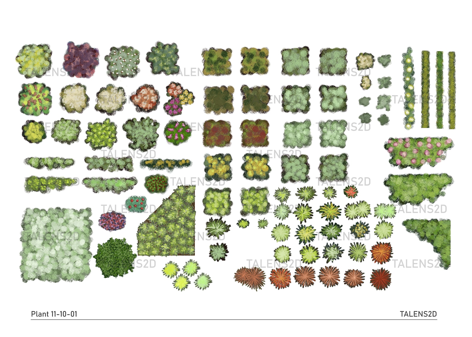 Plant Top View, 2D Landscape Clipart in PNG - Etsy