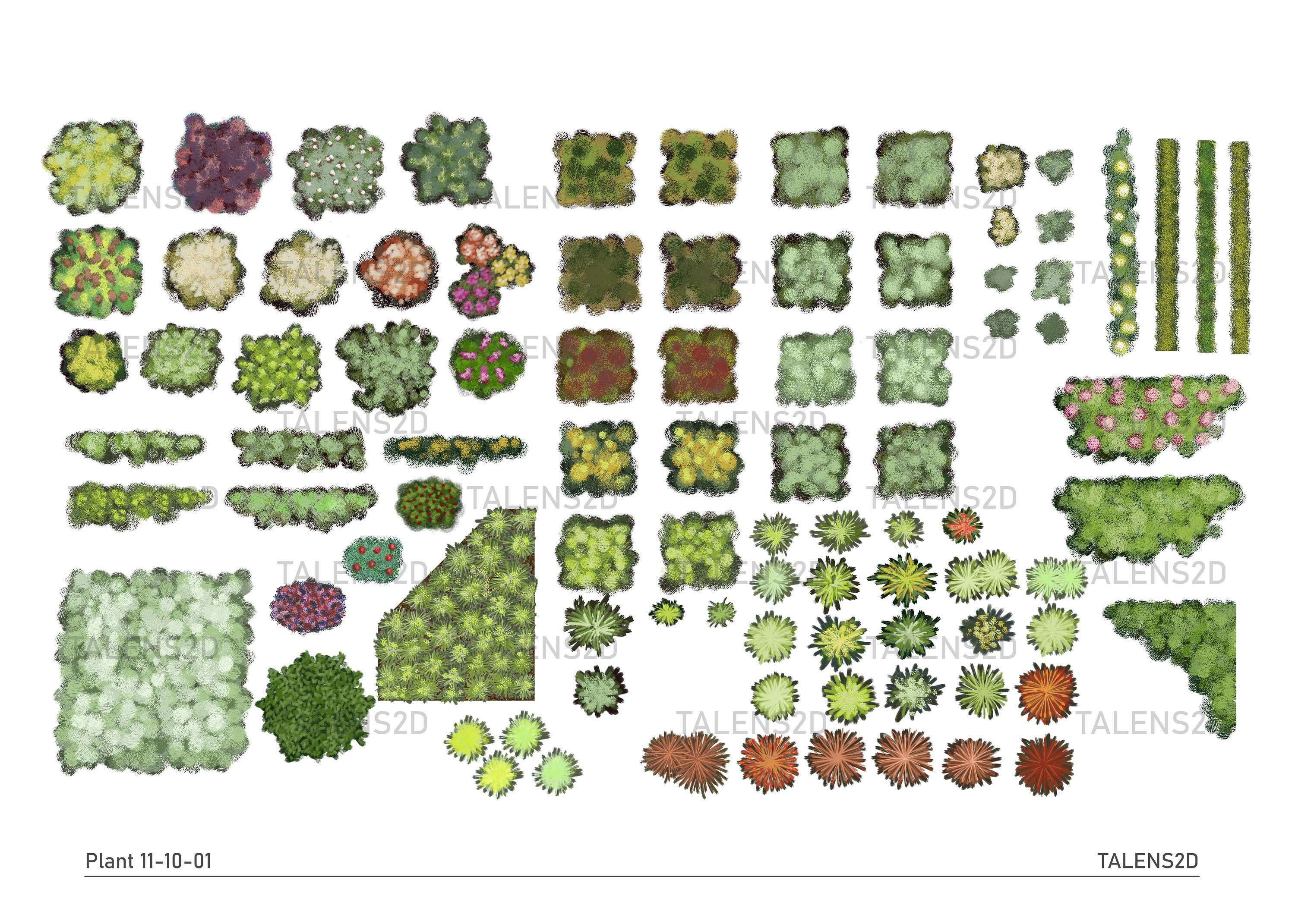 Plant Top View, 2D Landscape Clipart in PNG - Etsy