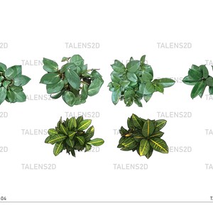 Plant Top View, Landscape Plants, Hand Painted Plant Top Symbols for ...