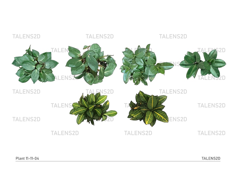 Plant Top View, Landscape Plants, Hand Painted Plant Top Symbols for ...