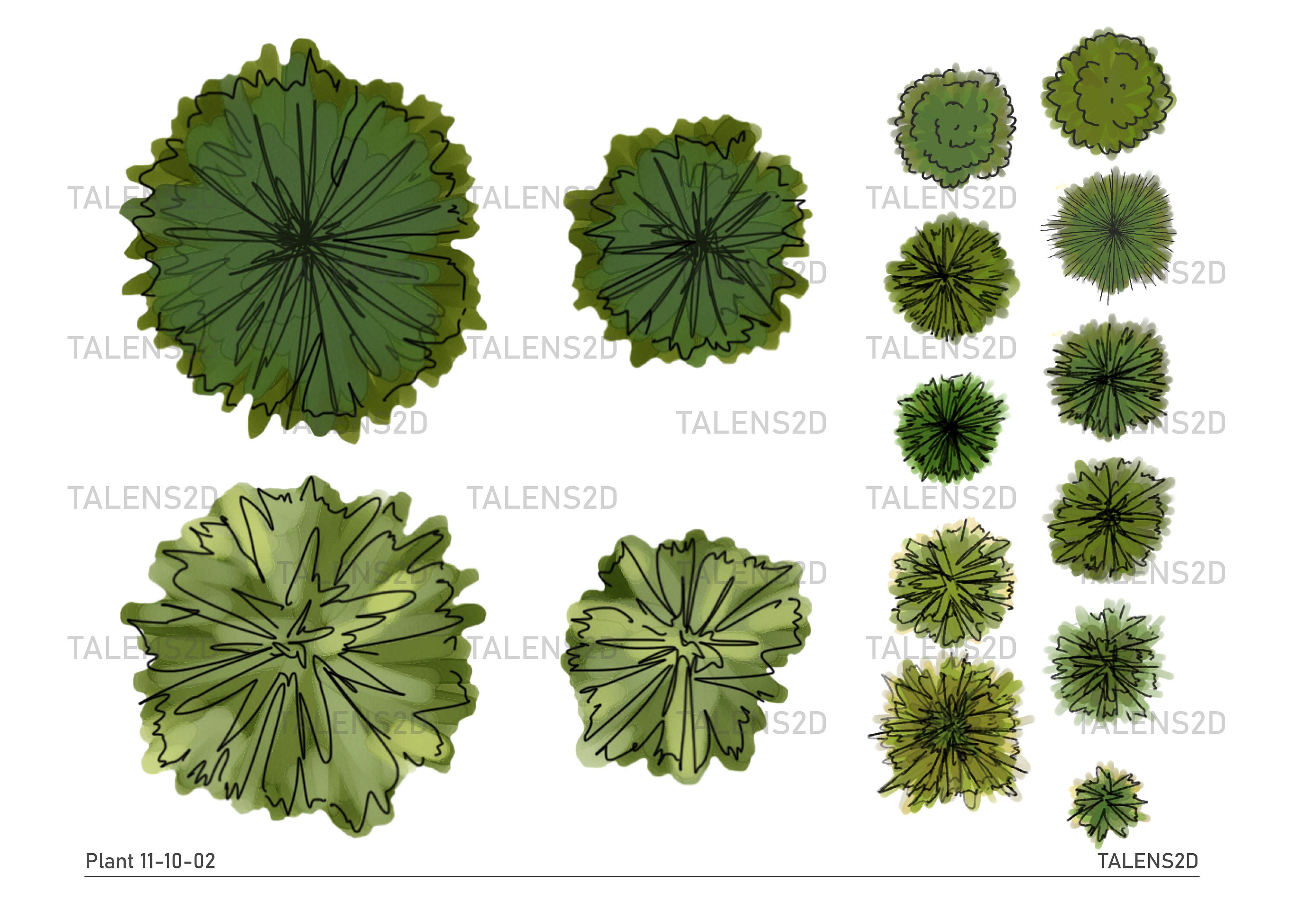 Landscape Architecture Plants: Hand-painted Top View Symbols (PNG Files ...