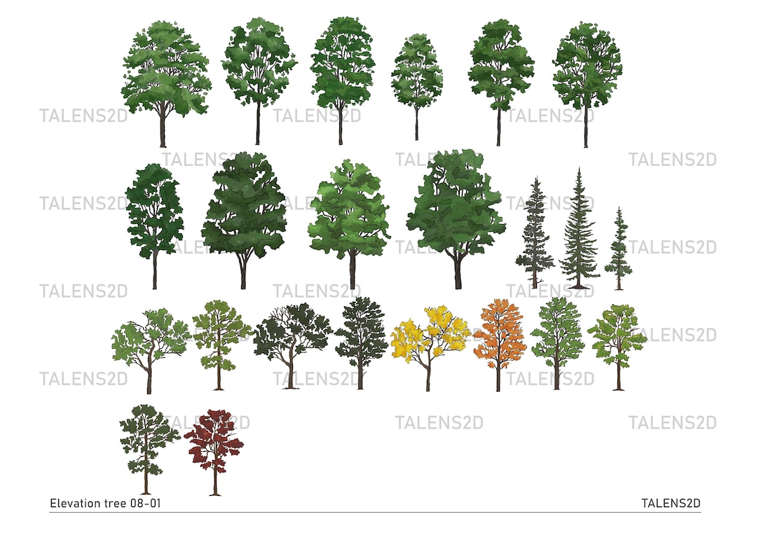 Tree Elevations PNG Landscape Architectural Graphics Clipart - Etsy
