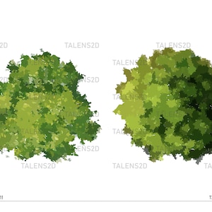 Tree Top View, 2D Landscape Clipart in PNG - Etsy