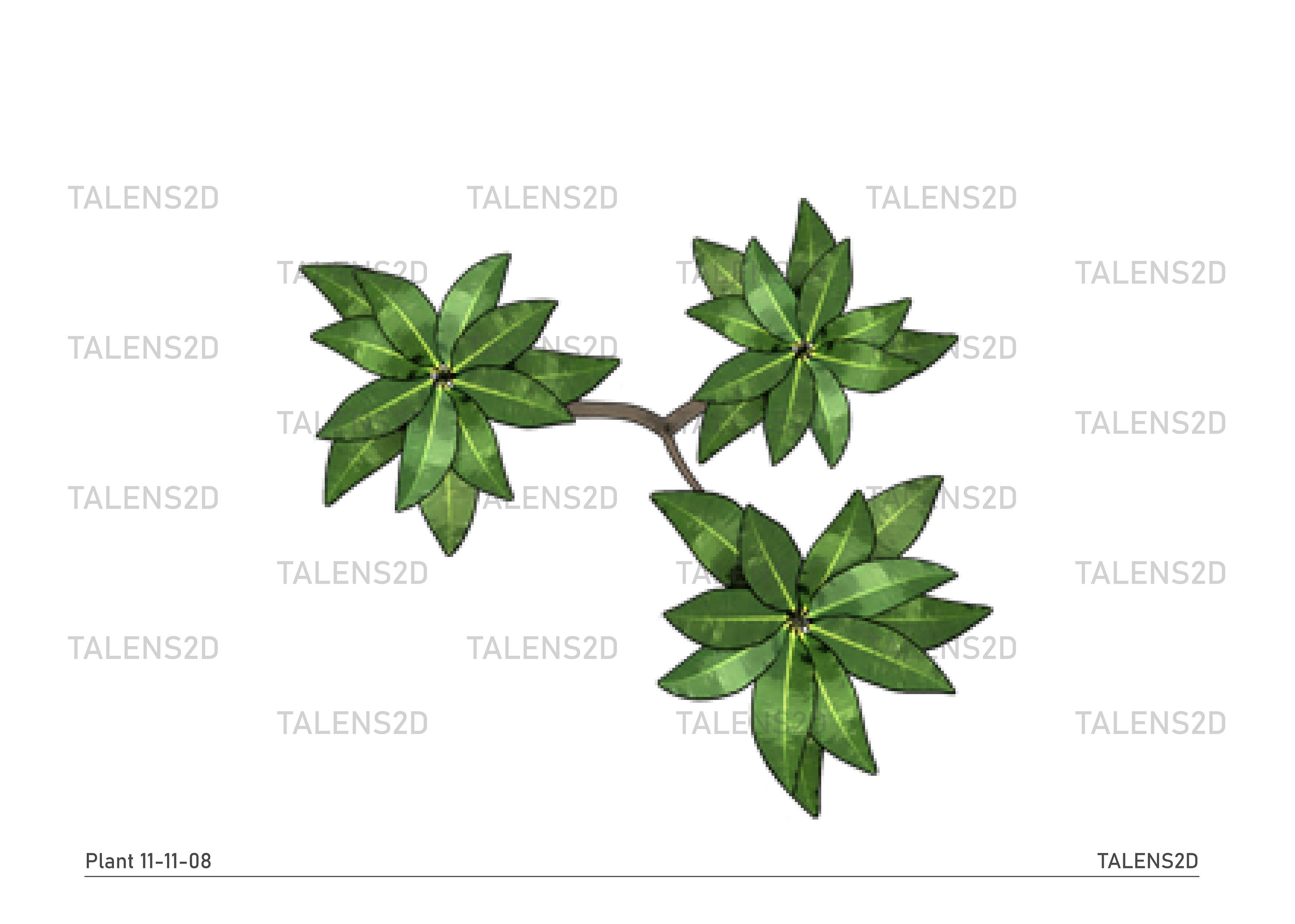 Plant Top View, Landscape Plants, Hand Painted Plant Top Symbols for ...
