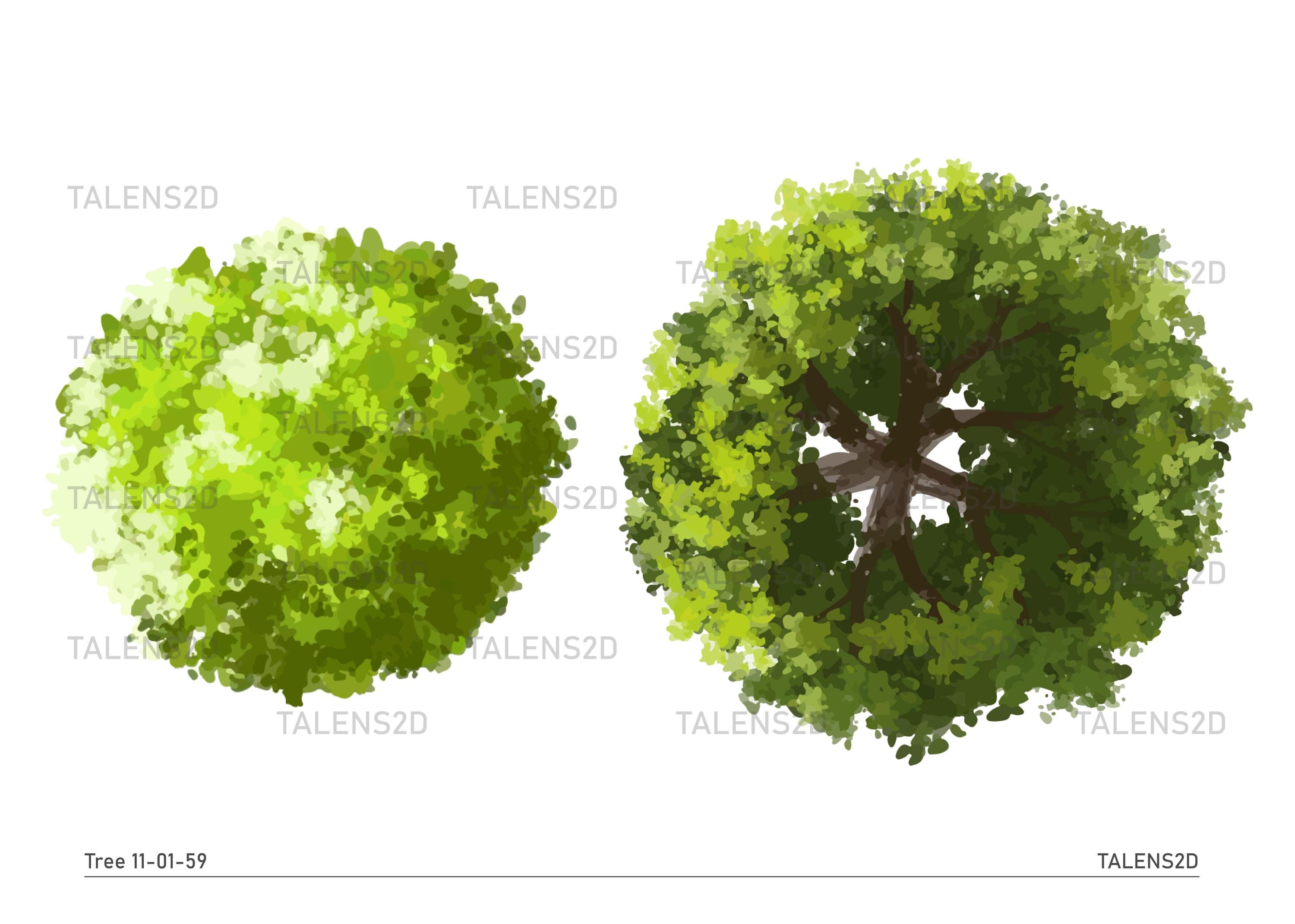 Tree Top View, 2D Landscape Clipart in PNG - Etsy
