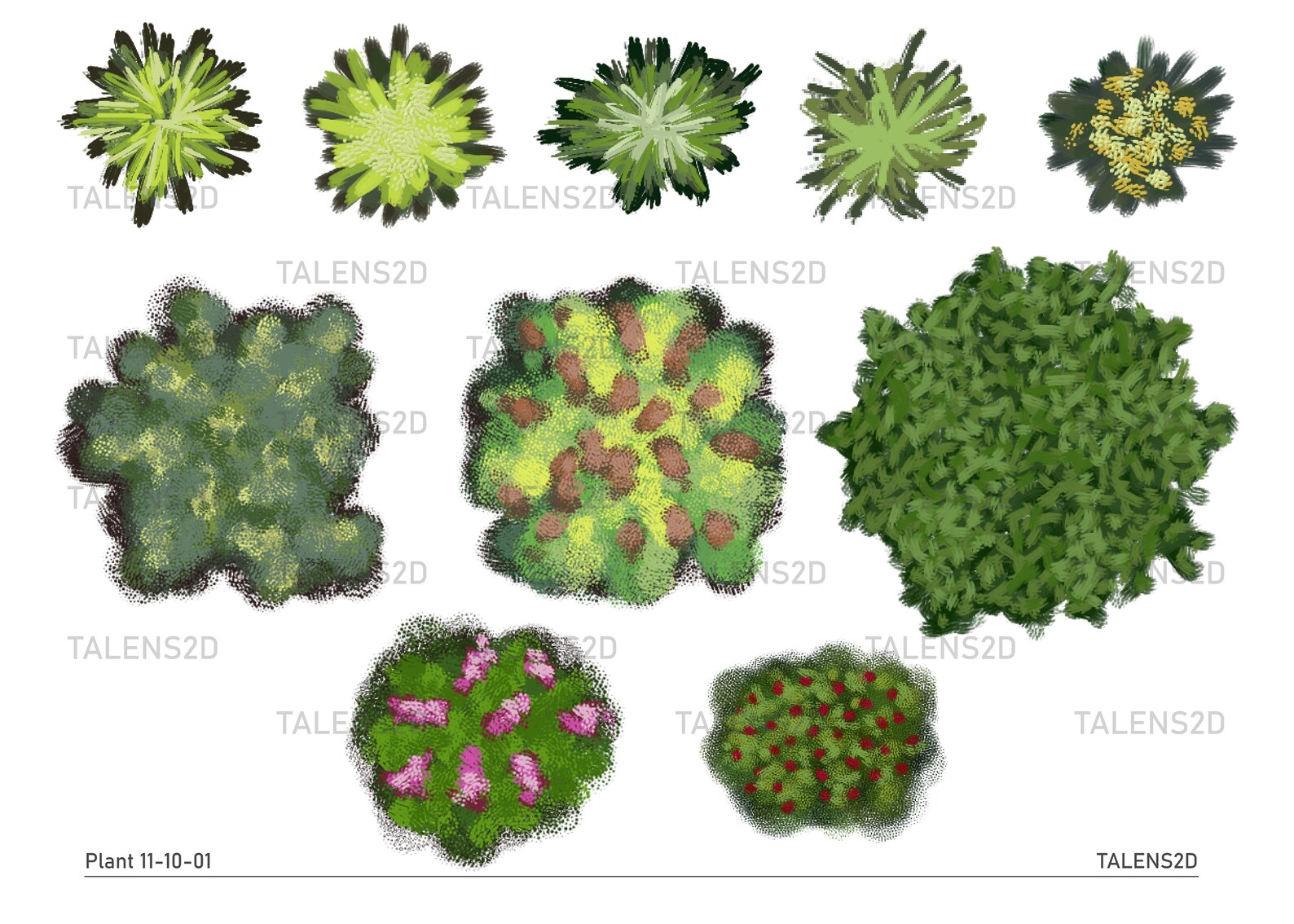 Plant Top View, 2D Landscape Clipart in PNG - Etsy