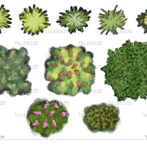 Plant Top View, 2D Landscape Clipart in PNG - Etsy