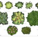 Plant Top View, 2D Landscape Clipart in PNG - Etsy