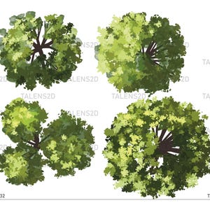 Tree Top View, 2D Landscape Clipart in PNG - Etsy