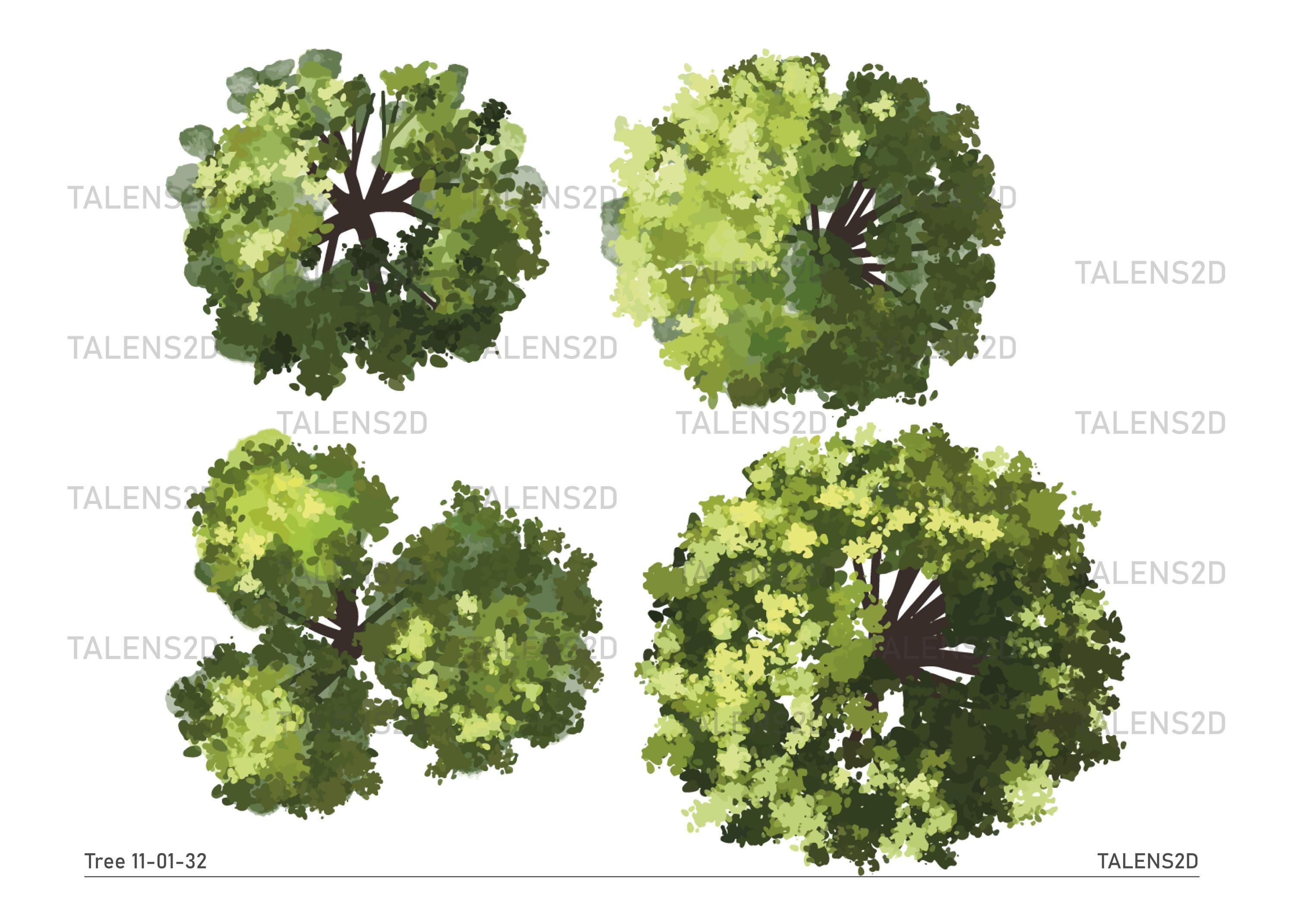 Tree Top View, 2D Landscape Clipart in PNG - Etsy