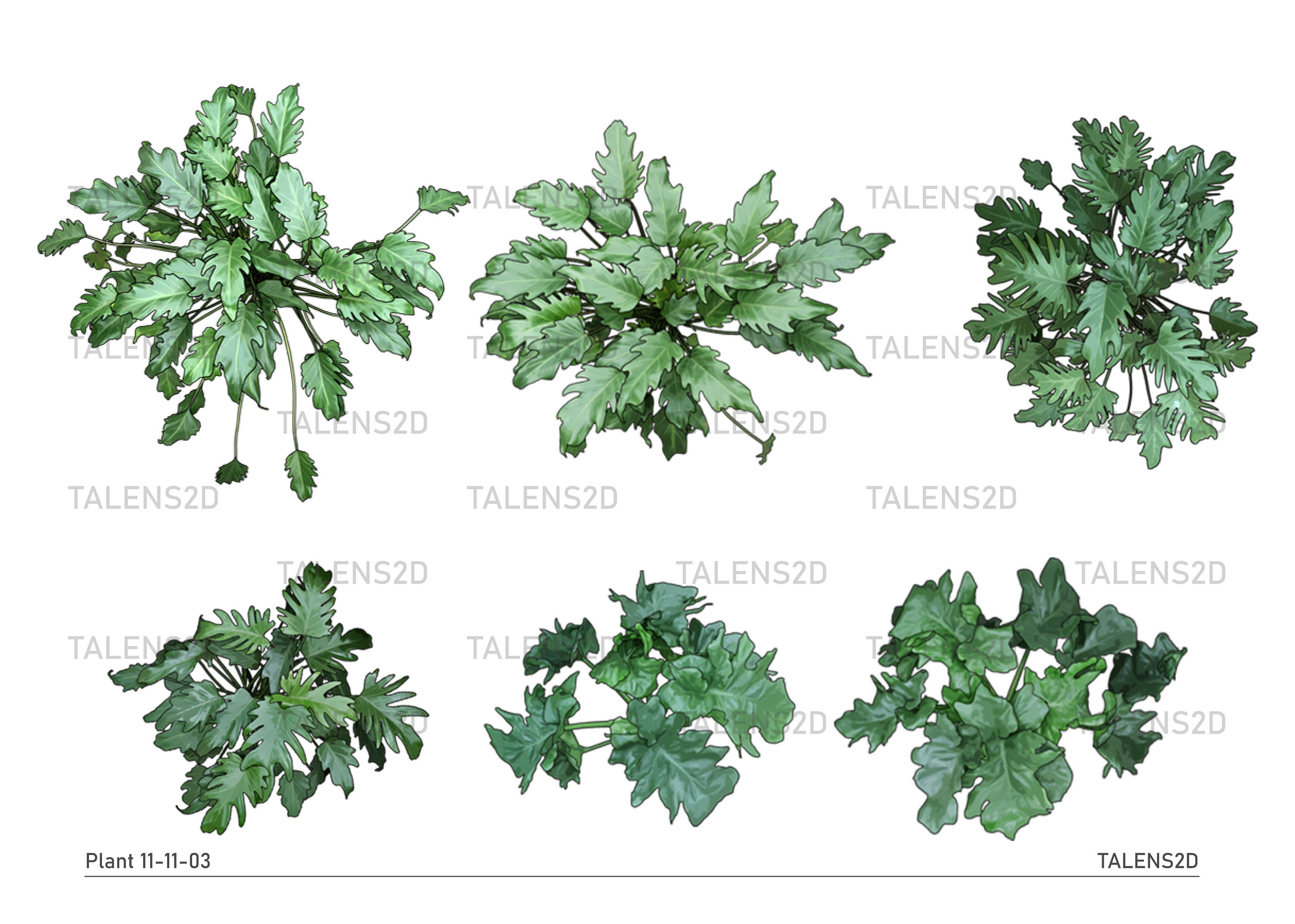 Landscape Plant Top View Symbols: Architecture Garden Design (PNG Files ...