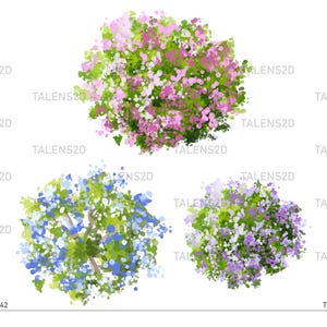 Tree Top View, 2D Landscape Clipart in PNG - Etsy