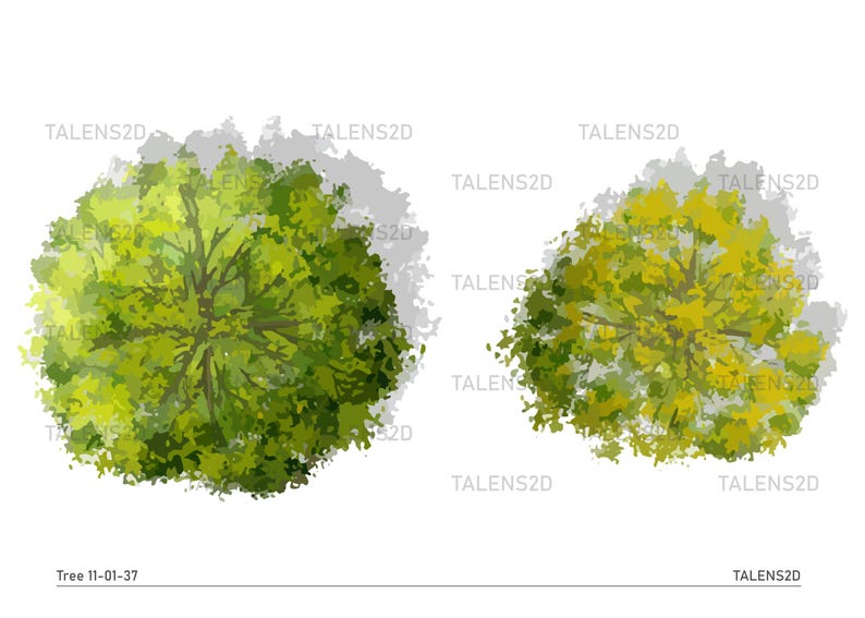 Tree Top View, 2D Landscape Clipart in PNG - Etsy