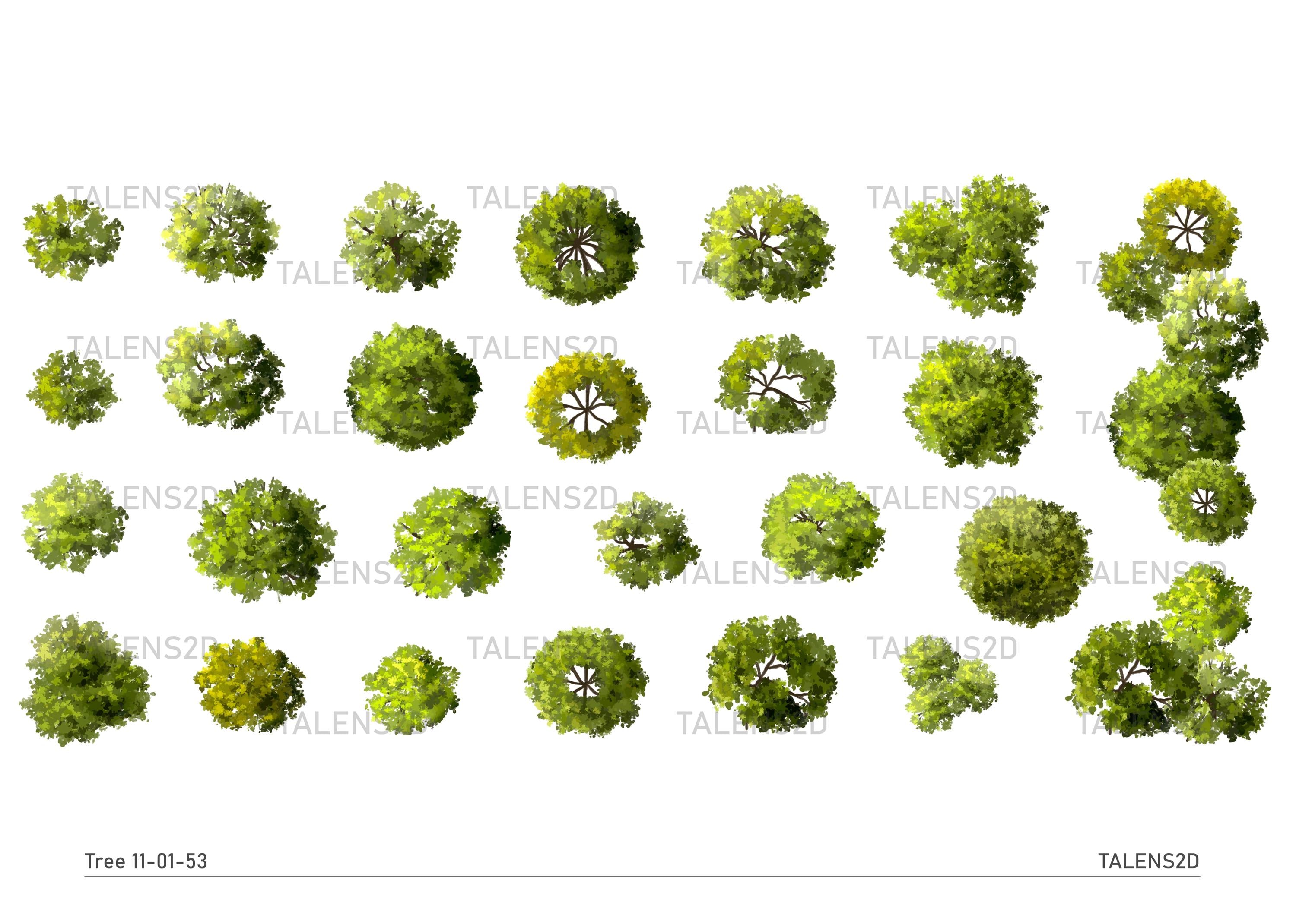 Tree Top View, 2D Landscape Clipart in PNG - Etsy