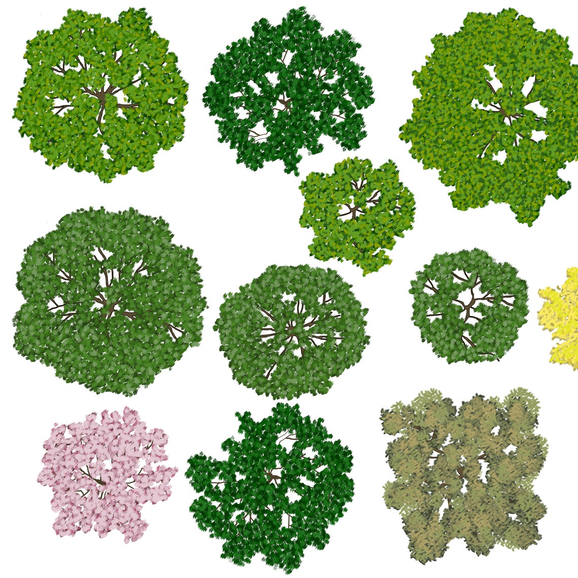 Tree Top View 2D Landscape Top View for Floor Plans PNG - Etsy
