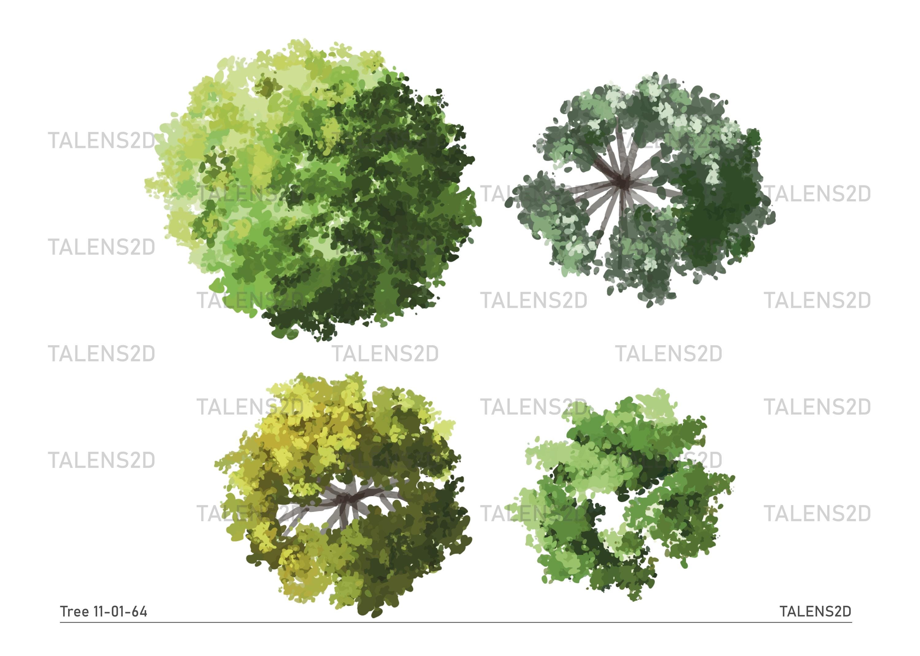 Tree Top View, 2D Landscape Clipart in PNG - Etsy