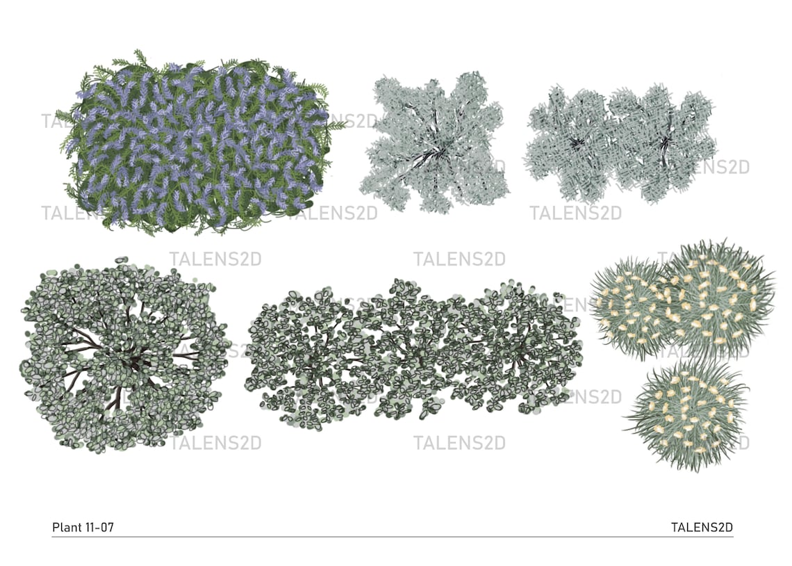 Plant Top View, 2D Landscape Clipart in PNG - Etsy