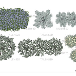 Plant Top View, 2D Landscape Clipart in PNG - Etsy