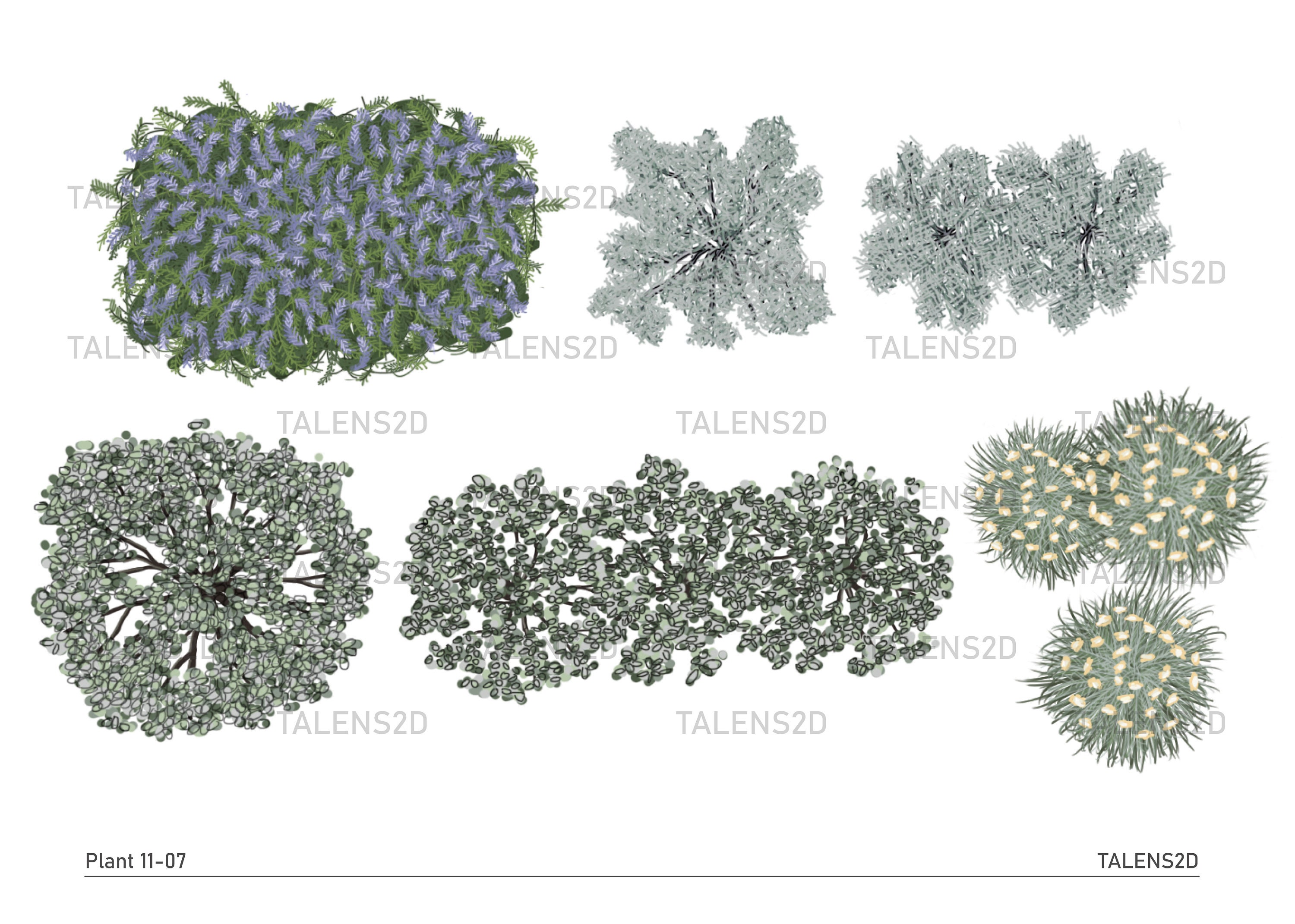 Plant Top View, 2D Landscape Clipart in PNG - Etsy