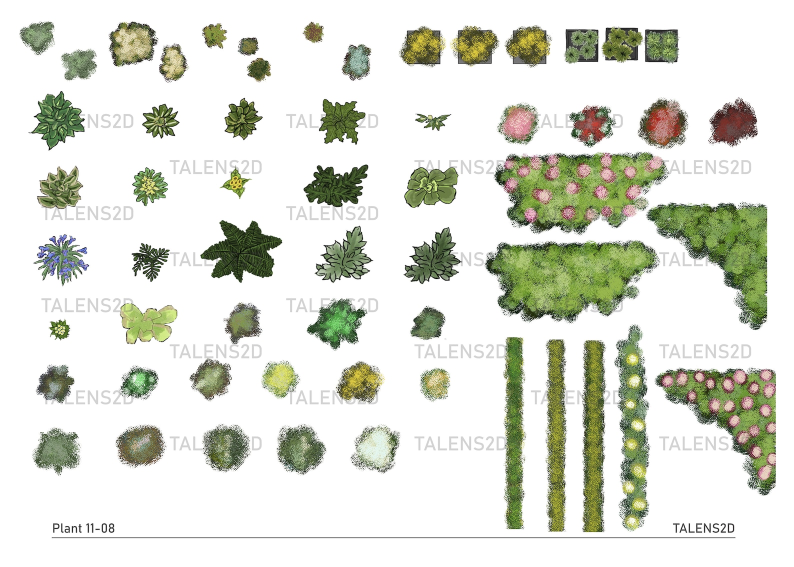 Plant Top View, 2D Landscape Clipart in PNG - Etsy